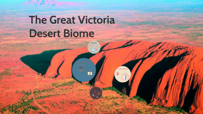 The Great Victoria Desert Biome by taylor davis on Prezi