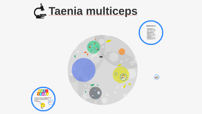 Taenia multiceps by Lexi Loya on Prezi