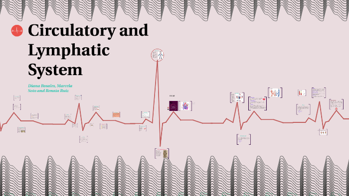 Circulatory and Lymphatic System by renata ruiz on Prezi