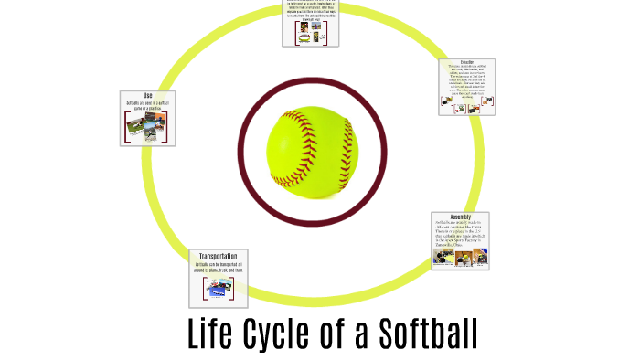 Life Cycle of a Softball by Ella Kittelson on Prezi