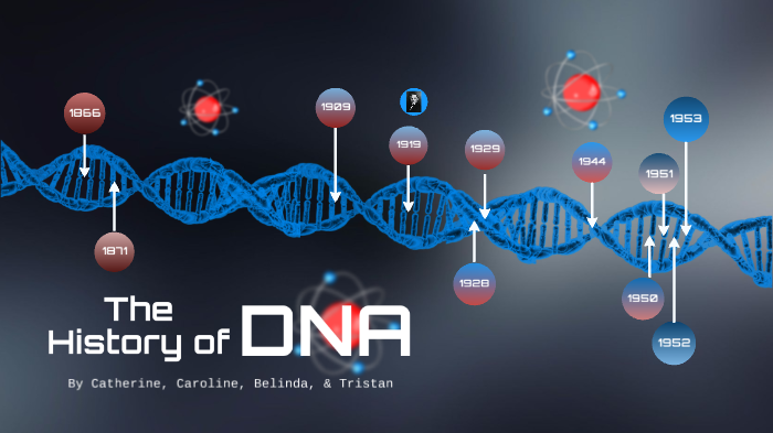 The History of DNA by Catherine Xu on Prezi