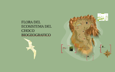 FLORA Y FAUNA DEL ECOSISTEMA DEL CHOCO BIOGEOGRAFICO by Juan Sebastian ...