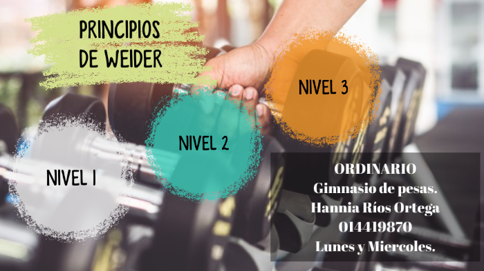Principios de Weider by Hannia Ortega on Prezi