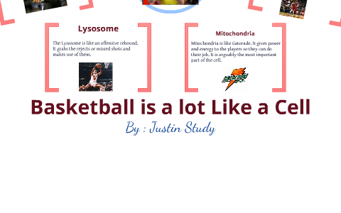 Comparing Cells to Basketball by Justin Study