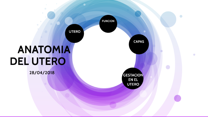 ANATOMIA DEL UTERO by nayeli ibarra on Prezi