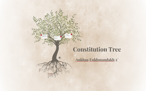 Constitution Tree by Ankhaa Enkhmandakh on Prezi