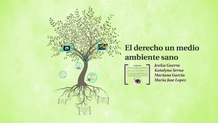 El derecho un medio ambiente sano by Katalyna Serna on Prezi El derecho un medio ambiente sano by Katalyna Serna on Prezi