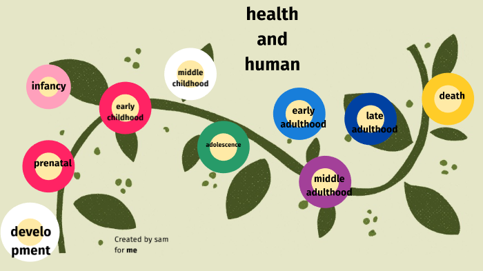 human lifespan stages by Sam on Prezi