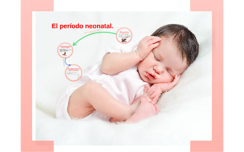 El período neonatal. by Ana García on Prezi