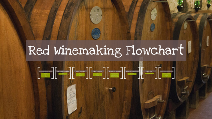 Red Winemaking Flowchart by Bertus Fourie on Prezi