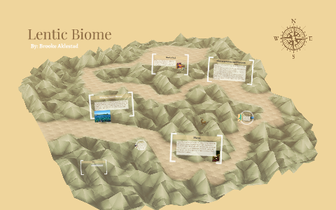 Lentic Biome by brooke aklestad on Prezi