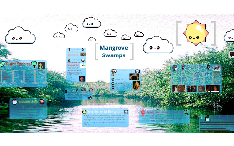 Mangrove Swamps - AP Biology by Chris Cardello on Prezi