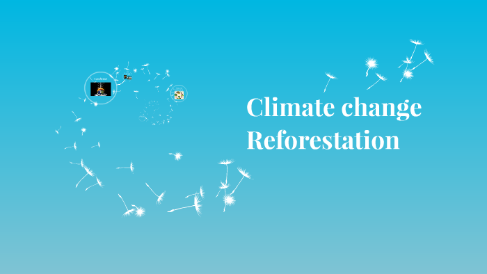 Climate Change Reforestation By Nuria Capó On Prezi