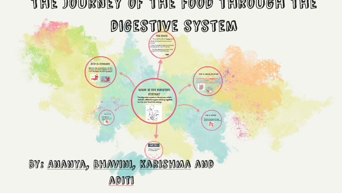 The journey of the food through the digestive system by Bobo Odho on Prezi