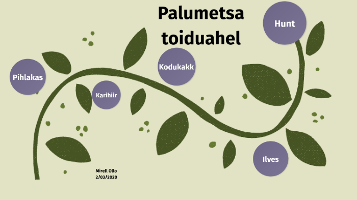 Palumetsa toiduahel by Mirell Ollo on Prezi