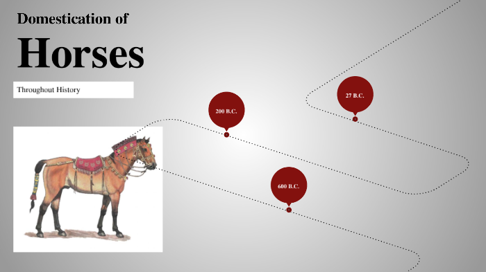 Domestication of Horses by Lilly Martin on Prezi