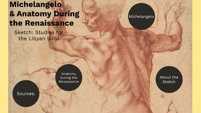 Michelangelo and Anatomy During the Renaissance by Phoebe Guice on Prezi
