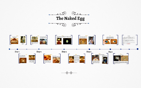 The Naked Egg by Julie Adgate on Prezi