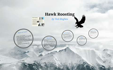 Hawk Roosting by Emily McCaffery on Prezi