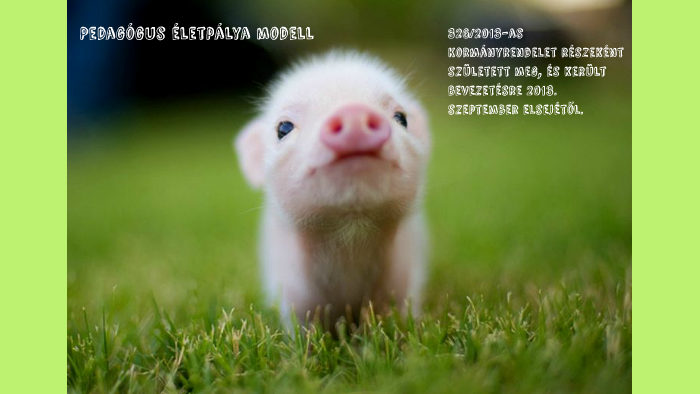 Pedagógus életpálya modell by Marko Molnar on Prezi