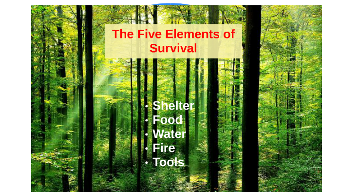 The Five Elements of Survival by lizbeth federico on Prezi