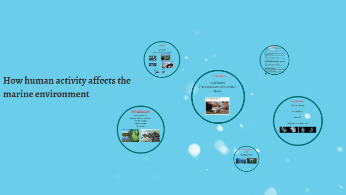 How human activity affects the human environment by Aina :) on Prezi