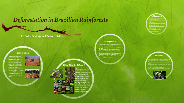 Deforestation in the Brazilian Rainforests by Espi VanVleet on Prezi