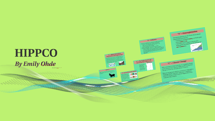 HIPPCO by Emily Ohde on Prezi
