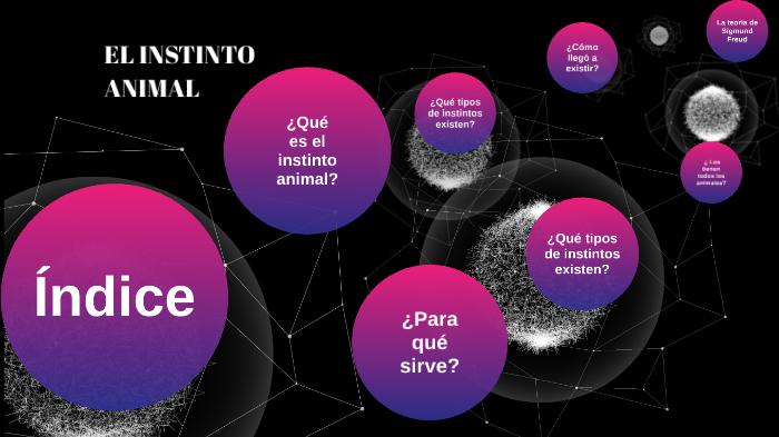 El instinto animal by rida lina on Prezi
