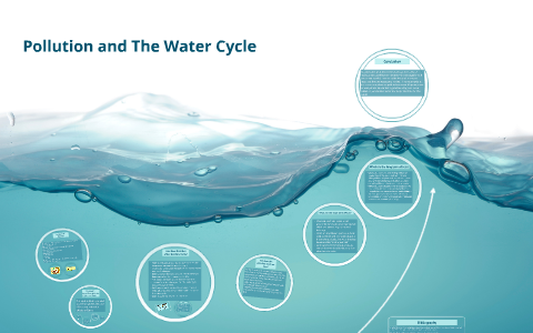 Pollution and The Water Cycle by Grace Snyder on Prezi