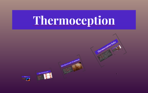 Thermoception by Jarett L. on Prezi