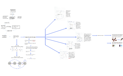 Life cycle of the Nine-Banded Armadillo by Ajay Harish on Prezi