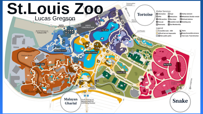 Zoo - Lucas by Lucas Gregson on Prezi