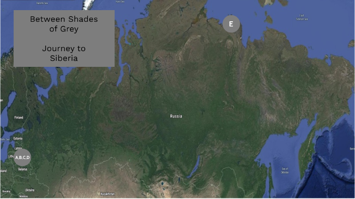 Linas Life Map by Cohmann Plant on Prezi