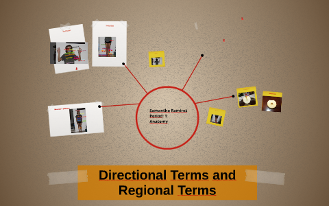 Directional Terms and Regional Terms by Samantha Ramirez on Prezi