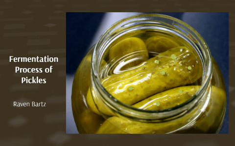 Fermentation Process of Pickles by Bird Tree Stump on Prezi