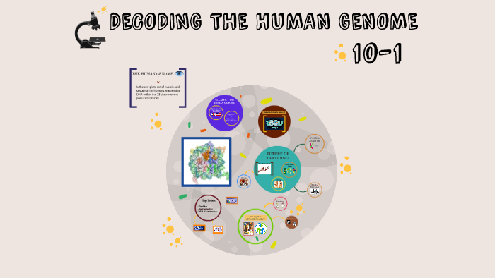 DECODING THE HUMAN GENOME by 10-1 10-1 on Prezi