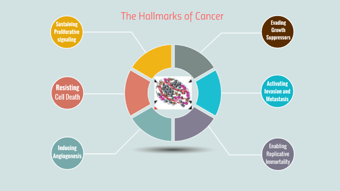 Hallmarks of Cancer by Abby Hutter on Prezi