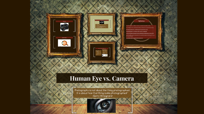 Human Eye vs. Camera by Devanshi Gulati on Prezi