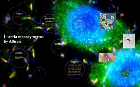 Listeria monocytogenes - Biology Honors by Allison Smuk on Prezi