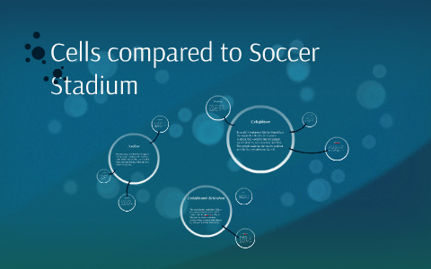Cells compared to Soccer Stadium by on Prezi