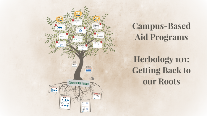 Campus-Based Aid Programs by Sara Vancil on Prezi