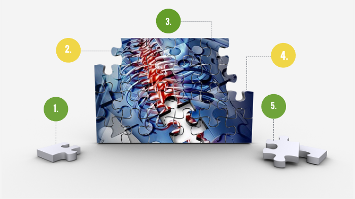 Hip and Lumbar Spine by Miya Simpson on Prezi