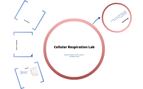Cellular Respiration Lab by Daniel Kang on Prezi