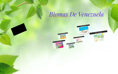 Biomas De Venezuela by Carlos Echetto P on Prezi