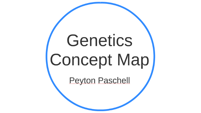 Genetics Concept Map by Peyton Paschell on Prezi