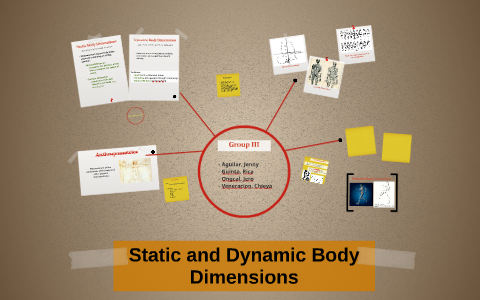 Static and Dynamic Body Dimensions by Chieya Veneracion on Prezi