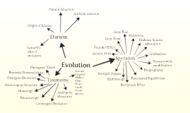 Evolution Concept Map by Aimee W on Prezi