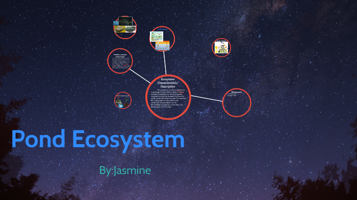Pond Ecosystem by Jasmine Awad on Prezi