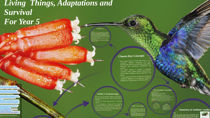LIVING THINGS, ADAPTATIONS and SURVIVAL by Sandra Pashchenko on Prezi
